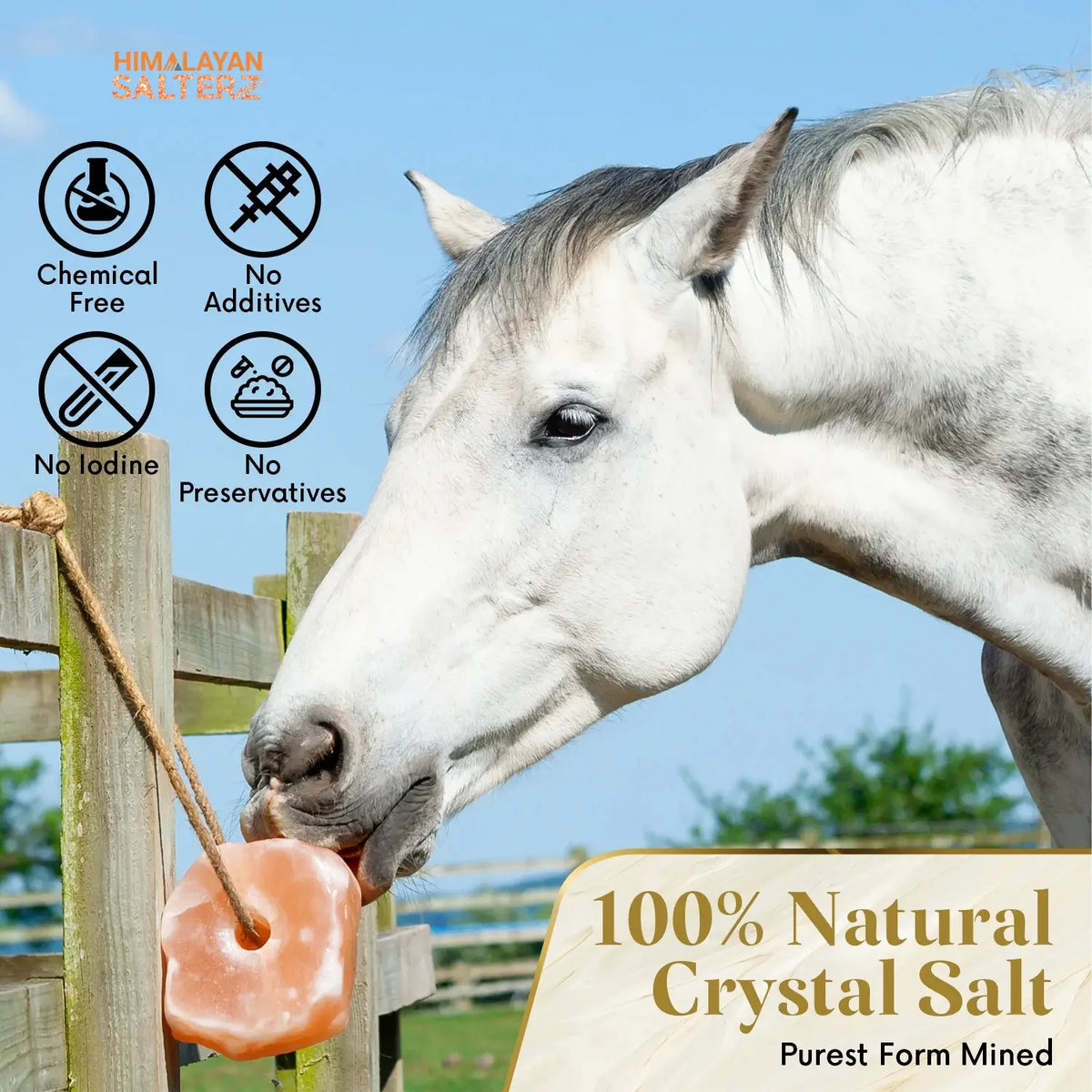 Horse Salt Lick Block for health - Himalayan Salterz