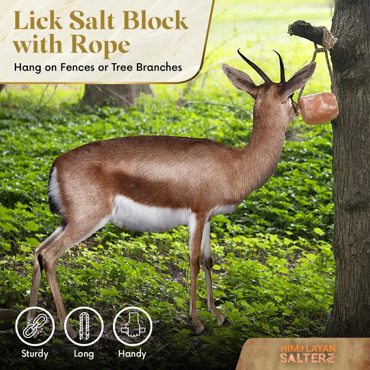 Best Mineral Salt Lick Block for Deer - Himalayan Salterz