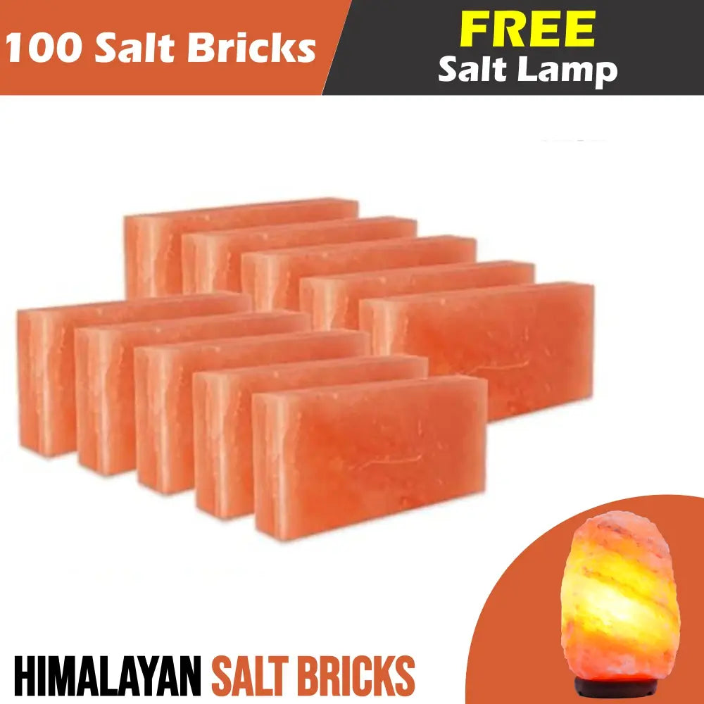 Himalayan Salt Bricks 8x4x2 with Lamp - Himalayan Salterz